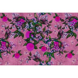 Livingwalls living walls Fototapete &raquo;Walls by Patel Grapefruit Tree 2&laquo; glatt Vlies, Wand, Schr&auml;ge rosa Vlies B/L: 4m x 2,7m
