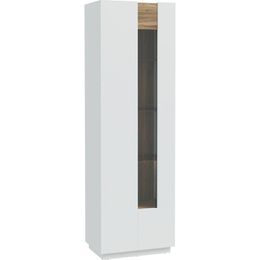 FORTE Vitrine &raquo;Lewisville&laquo; grau Holzwerkstoff Secret Grey, B/H/T: 60,9cm x 194,6cm x 41cm, T&uuml;ren: 1 Stk.