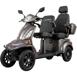 ECONELO Elektromobil &raquo;E-Seniorenmobil VISTA Quarter-1L, Lithium-Akku, 4-Rad, 60V, 1000 Watt&laquo; 1.000 W 25 km/h grau Inklusive Topcase, Armlehnen, 