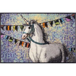wash+dry by Kleen-Tex Fu&szlig;matte &raquo;Unicorn&laquo; rechteckig 7 mm H&ouml;he bunt Polyamid B : 50cm 1 Stk., 7mm, L: 75cm