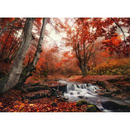 papermoon Fototapete &raquo;Foggy Forest Creek&laquo; glatt bunt Vlies B/L: 1,5m x 1,11m, Bahnen: 7 Stk.