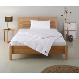 OTTO home Daunenbettdecke + Kopfkissen &raquo;Lodiken, Bettdecke 135x200 cm, 155x220 cm, Decke Made in Germany&laquo; Set mit Kissen 40x80 cm, 80x80 cm, Fr&uuml;hling,