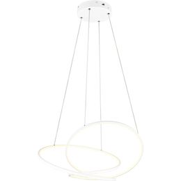 Trio Leuchten LED Pendelleuchte &raquo;DARVIN, LED H&auml;ngelampe 52W 6700 Lumen, dimmbar, Lichtfarbe einstellbar&laquo; LED-Board 1 Stk. warmwei&szlig; - kaltwei&szlig; CCT 2300