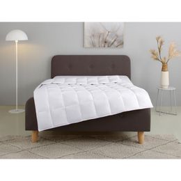 OTTO home Federbettdecke &raquo;Irah Bettdecke 135x200 cm, 155x220 cm und 200x200 cm&laquo; leicht F&uuml;llung 50% Daunen & 50% Federn 1 Stk. tlg. Bettdecken, 