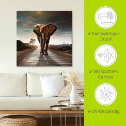 Artland Leinwandbild &raquo;Ein Elefant l&auml;uft auf der Stra&szlig;e&laquo; Wildtiere 1 Stk. tlg. auf Holzrahmen gespannt braun Leinwand B/H/T: 70cm x 70cm, Leinwandbild 