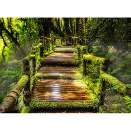 papermoon Fototapete &raquo;Rainforest at Ang Ka&laquo; glatt bunt Vlies B/L: 3m x 2,23m, Bahnen: 6 Stk.