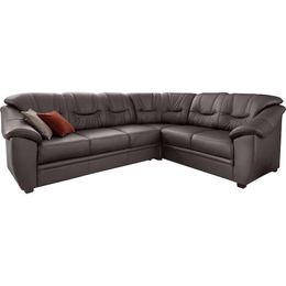 Sit & More sit&more Ecksofa &raquo;Savona L-Form, B. 262cm, klassisches Design, Federkern, Komfort Sitz&laquo; optional Schlaffunktion, Federkern braun PRIMABELLE -