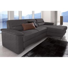 Sit & More sit&more Ecksofa &raquo;Top Ascara L-Form&laquo; inklusive Boxspring/Federkern-Polsterung, komfortablem Federkern grau NaturLeder;Luxus-Microfaser (100% Polyester