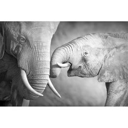 queence Leinwandbild &raquo;Elefant&laquo; Elefant Elefanten Elefanten Bilder Gruppen & Familien Schwarz-Wei&szlig; Premium-Leinwandstoff, Handarbeit aus Deutschland, 
