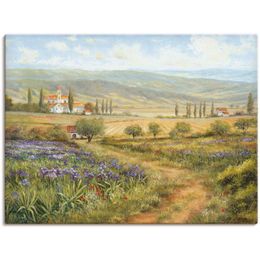 Artland Leinwandbild &raquo;Provence&laquo; Bilder von Europa 1 Stk. tlg. auf Holzrahmen gespannt gr&uuml;n B/H/T: 40cm x 30cm, Leinwandbild Bilder von Europa Querformat, 1 