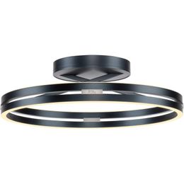 Neuhaus PURE LED Deckenleuchte &raquo;PURE Loop&laquo; LED-Board 1 Stk. warmwei&szlig; - kaltwei&szlig; Dimmbar &uuml;ber Fernbedienung, CCT, separat steuerbar schwarz 1, &Oslash; 60cm H