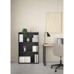 Home Affaire Regal &raquo;Sign Ablageregal, Aktenregal, B&uuml;cherregal, Standregal, Wandregal,&laquo; niedrig, 2 Einlegeb&ouml;den, H&ouml;he 123 cm, Breite 79,6 cm grau 