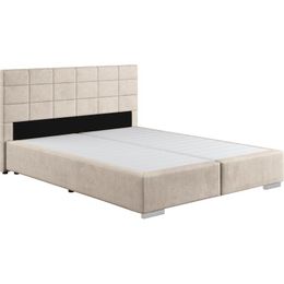 COTTA Boxspringbett &raquo;Simba in verschiedenen Farben und Breiten erh&auml;ltlich, ohne Matratze&laquo; Bezugsstoff: Struktur fein grau Polyester Struktur fein 
