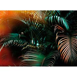 Livingwalls living walls Fototapete &raquo;Jungle Vlies&laquo; glatt 350 x 255 cm bunt Vlies B/L: 3,5m x 2,55m