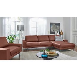 Creation BY ROLF BENZ Ecksofa &raquo;CR.450, Designecksofa, L-Form&laquo; Armlehne breit und niedrig, Alugussf&uuml;&szlig;e in umbragrau, Breite 274 cm braun Luxus-