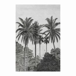 SUPERFRESCO EASY Fototapete &raquo;Palmen&laquo; botanisch glatt 200 cm L&auml;nge schwarz Vlies B/L: 2m x 2m