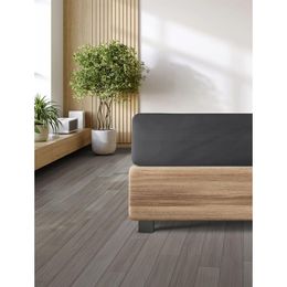 Irisette Spannbettlaken &raquo;Porto 20&laquo; besonders elastisch grau Jersey, Obermaterial: 95% Baumwolle, 5% Elasthan B/L: 180cm x 200cm, 1 Stk., Jersey, 180-200x190-