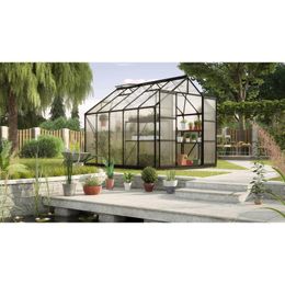 Vitavia Gew&auml;chshaus &raquo;Uranus 8300&laquo; schwarz B/H/T: 254cm x 317cm