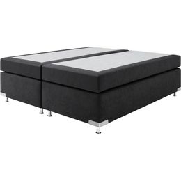 Westfalia Schlafkomfort Boxspringbett &raquo;Holland&laquo; ohne Kopfteil, frei im Raum stellbar schwarz Microvelours (100% Polyester) Microvelours Ohne Topper, Liegefl&auml;che B/L: 160cm x 