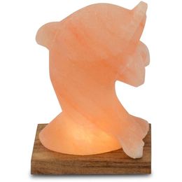 Salzkristall-Tischlampe &raquo;Delfin&laquo; LED-Modul 1 Stk. Warmwei&szlig; Handgefertigt aus Salzkristall - jeder Stein ein Unikat, H: ca.15 cm orange &Oslash; 7cm H: 15cm, 