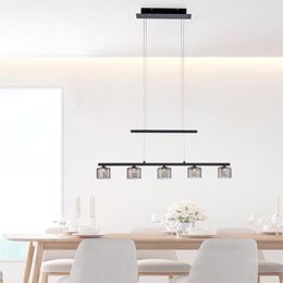 Paul Neuhaus Pendelleuchte &raquo;HYDRA&laquo; LED-Board 1 Stk. Warmwei&szlig; LED schwarz 5, 1 Stk.