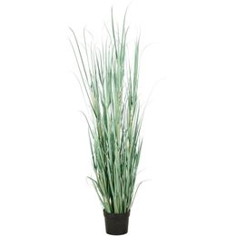Creativ green Kunstgras &raquo;Grasbusch Cortaderia&laquo; in opulenter Gr&ouml;&szlig;e gr&uuml;n Kunststoff B/H/L: 175cm, 1 Stk.