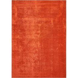 ANDIAMO Teppich &raquo;Arezzo&laquo; rechteckig 16 mm H&ouml;he Uni Farben, weicher Flor, waschbar, ideal im Wohnzimmer & Schlafzimmer orange Polyester B : 160cm 1 Stk., 16mm,