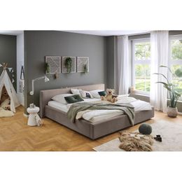 Meise M&ouml;bel meise.m&ouml;bel Polsterbett &raquo;CUBE in Cord, Familienbett 240x200cm, wahlweise mit Lattenrost&laquo; verschiedene Farben erh&auml;ltlich beige Liegefl&auml;che L&auml;nge B: 