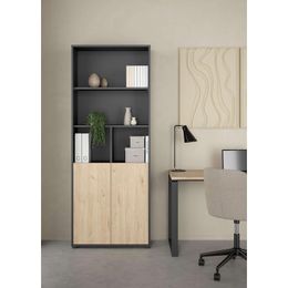 Home Affaire B&uuml;cherregal &raquo;Sign Ablageregal, Aktenregal, B&uuml;cherregal, Standregal, Wandregal,&laquo; mit 2 T&uuml;ren, 4 Einlegeb&ouml;den, 2 T&uuml;ren, H&ouml;he 200 cm, Breite