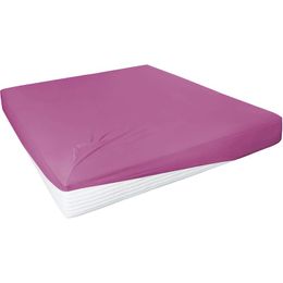 Primera Spannbettlaken &raquo;Elasthan-Feinjersey&laquo; PREMIUM, aus 95% gek&auml;mmter Baumwolle und 5% Elasthan, bis 28 cm H&ouml;he lila Jersey-Elasthan, Obermaterial: 95% 