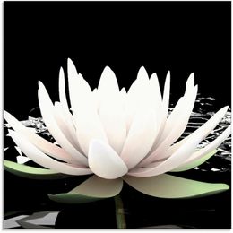 Artland Glasbild &raquo;Zwei Lotusblumen auf dem Wasser&laquo; Blumen 1 Stk. tlg. in verschiedenen Gr&ouml;&szlig;en schwarz B/H/T: 30cm x 30cm, Glasbild Blumen, 1 Stk.