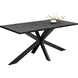 M&auml;usbacher Esstisch &raquo;Big System Metall&laquo; Metallgestell in Stern lang-Form grau B/H/T: 180cm x 78cm x 90cm
