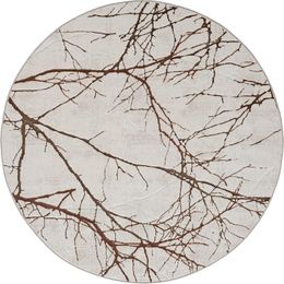 MERINOS Teppich &raquo;Creation 50055&laquo; rund 10 mm H&ouml;he elegant, gl&auml;nzend, Kurzflor, pflegeleicht, Wohnzimmer beige Polyester &Oslash; 200cm 1 Stk., 10mm, &Oslash; 200cm