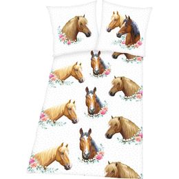 Herding's Young Collection Bettw&auml;sche &raquo;Pferd&laquo; mit tollem Pferde Motiv bunt Renforc&eacute;, Obermaterial: 100% Baumwolle B/L: 135cm x 200cm, 1 Stk., 1 Stk., Renforc&eacute;, B/L: 80cm x 80cm