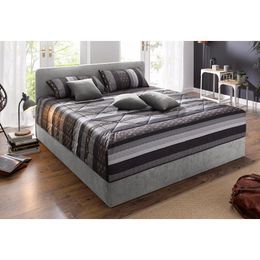 Westfalia Schlafkomfort Polsterbett &raquo;"Davos"&laquo; inkl. Bettkasten bei Ausf&uuml;hrung mit Matratze grau Bezug Bett: Microfaser (100% Polyester);Bonnell-Federkernmatratze: 51% 