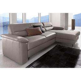 Sit & More sit&more Ecksofa &raquo;Ascara L-Form&laquo; inklusive Boxspring/Federkern-Polsterung, wahlweise mit Schlaffunktion grau NaturLEDER (echtes Rindsleder), Korpus in