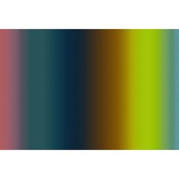 Livingwalls living walls Fototapete &raquo;Walls by Patel Over The Rainbow&laquo; glatt Vlies, Wand bunt Vlies B/L: 4m x 2,7m