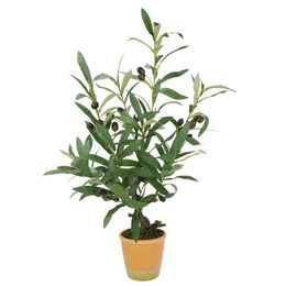 I.GE.A. Kunstpflanze &raquo;K&uuml;nstlicher Olivenbaum mit schwarzen Fr&uuml;chten&laquo; Olive Mediterran &Ouml;lbaum Gr&uuml;npflanze Kunstbaum Dekobaum Baum gr&uuml;n Polyester B/H/L: