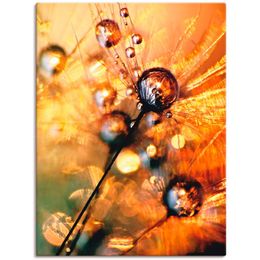 Artland Leinwandbild &raquo;Pusteblume Energy&laquo; Blumen 1 Stk. tlg. auf Holzrahmen gespannt orange Leinwand B/H/T: 45cm x 60cm, Leinwandbild Blumen Hochformat, 1 Stk.