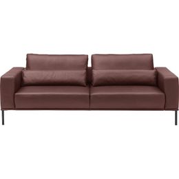 Musterring 3-Sitzer &raquo;JustB!PM100, 242 cm breit, aus hochwertigem Leder&laquo; XL-Sofa, wahlweise mit Nierenkissen und mot. Sitzauszug, Fu&szlig; schwarz braun 100% Leder B/H