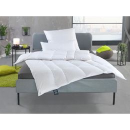 H&auml;ussling G&auml;nsedaunenbettdecke &raquo;Select - Made in Green&laquo; extrawarm F&uuml;llung 100% G&auml;nsedaunen 1 Stk. tlg. hochwertiges Daunenprodukt wei&szlig; Bettdecken Bezug: 100% 