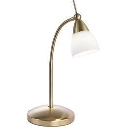 Paul Neuhaus LED Tischleuchte &raquo;Pino&laquo; G9 1 Stk. Warmwei&szlig; 3-Stufen Touchdimmer; flexibel verstellbar grau 1, H: 45cm, 1 Stk.