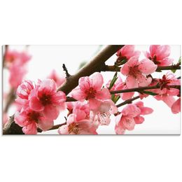 Artland Glasbild &raquo;Pfirsichbl&uuml;ten reflektieren im Wasser&laquo; Blumen 1 Stk. tlg. in verschiedenen Gr&ouml;&szlig;en pink B/H/T: 100cm x 50cm, Glasbild Blumen, 1 Stk.