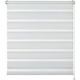 Sch&ouml;ner Wohnen Kollektion SCH&Ouml;NER WOHNEN-Kollektion Doppelrollo &raquo;Tilda&laquo; transparent Sichtschutz mit Bohren/ohne Bohren freih&auml;ngend geklemmt, silberne oder wei&szlig;e Rollo-Technik 