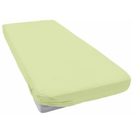 Primera Spannbettlaken &raquo;Teddy Flausch&laquo; 80% Baumwolle, f&uuml;r Matratzen bis 20 cm H&ouml;he, kuschelig warm im Winter gr&uuml;n Biber, Obermaterial: 80% Baumwolle, 20% 