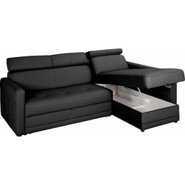 exxpo - sofa fashion Ecksofa &raquo;Arles, Federkern, zeitlos, Breite 225cm, L-Form&laquo; wahlweise mit Bettfunktion und Bettkasten, inkl. Kopfteilverstellung 