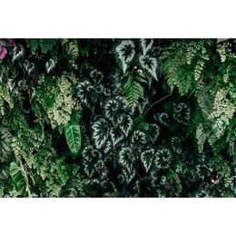 Livingwalls living walls Fototapete &raquo;Walls by Patel Deep Green&laquo; glatt Vlies, Wand gr&uuml;n Vlies B/L: 4m x 2,7m