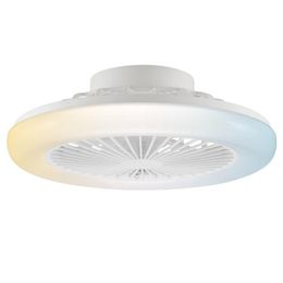 Brilliant LED Deckenleuchte &raquo;Montero&laquo; LED-Modul 1 Stk. warmwei&szlig; - kaltwei&szlig; LED-Deckenventilator, &Oslash; 42 cm, 2700 lm, 2700-6500 K &Oslash; 42cm H: 13,7cm, 1 Stk.