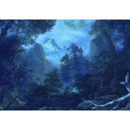 Komar Vliestapete &raquo;Digitaldruck Vlies - Midnight - Gr&ouml;&szlig;e 400 x 280 cm&laquo; bedruckt glatt Wohnzimmer, Schlafzimmer blau Vlies B/L: 400m x 280m, Rollen: 1