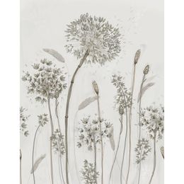 marburg Fototapete botanisch moderne Tapete f&uuml;r Wohnzimmer Schlafzimmer K&uuml;che grau Vlies B/L: 2,12m x 2,7m